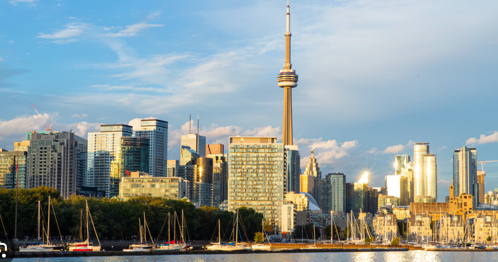 About Us - RF Transparent